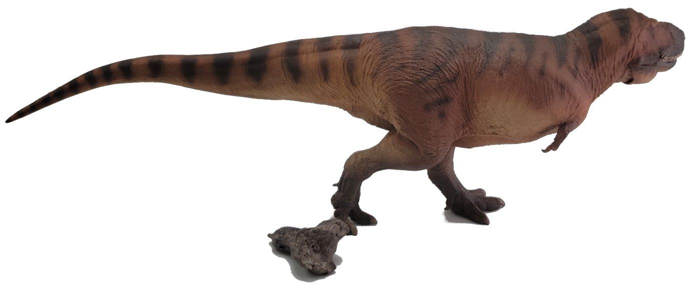 PNSO Cameron the Trannosaurus Rex Scientific Art Model #100