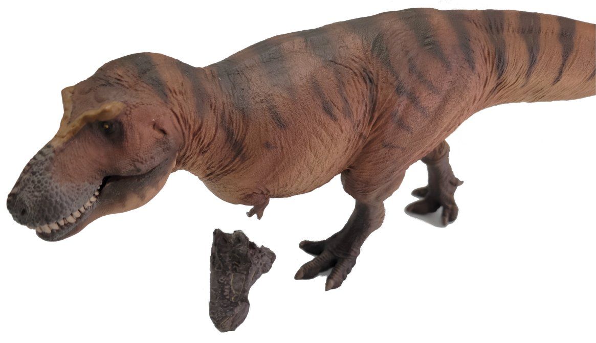 PNSO Cameron the Trannosaurus Rex Scientific Art Model #100
