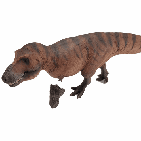 PNSO Cameron the Trannosaurus Rex Scientific Art Model #100