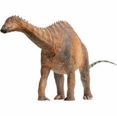 PNSO Dinosaur Store - Large and Minis