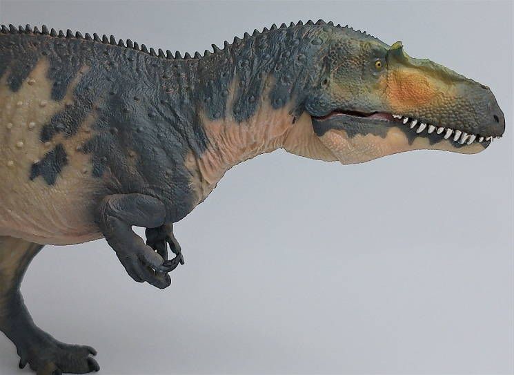 PNSO Connor The Torvosaurus #48 - Moveable Jaw, New 2021