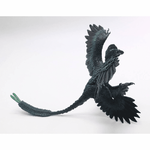 PNSO Gaoyuan the Microraptor #29 - Dinosaur Museum Series