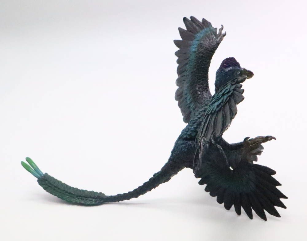 PNSO Gaoyuan the Microraptor #29 - Dinosaur Museum Series