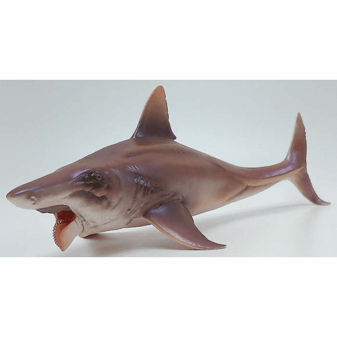 PNSO - Haylee The Helicoprion #43-Unique saw blade lower jaw