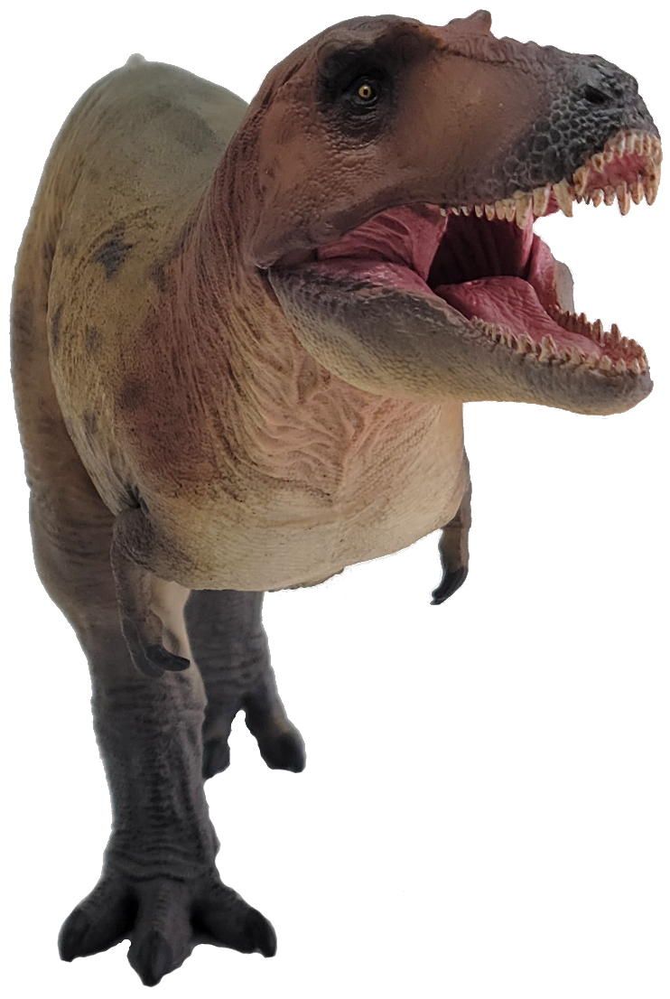 PNSO Keynes The Lythronax - Dinosaur Museum Series, Version