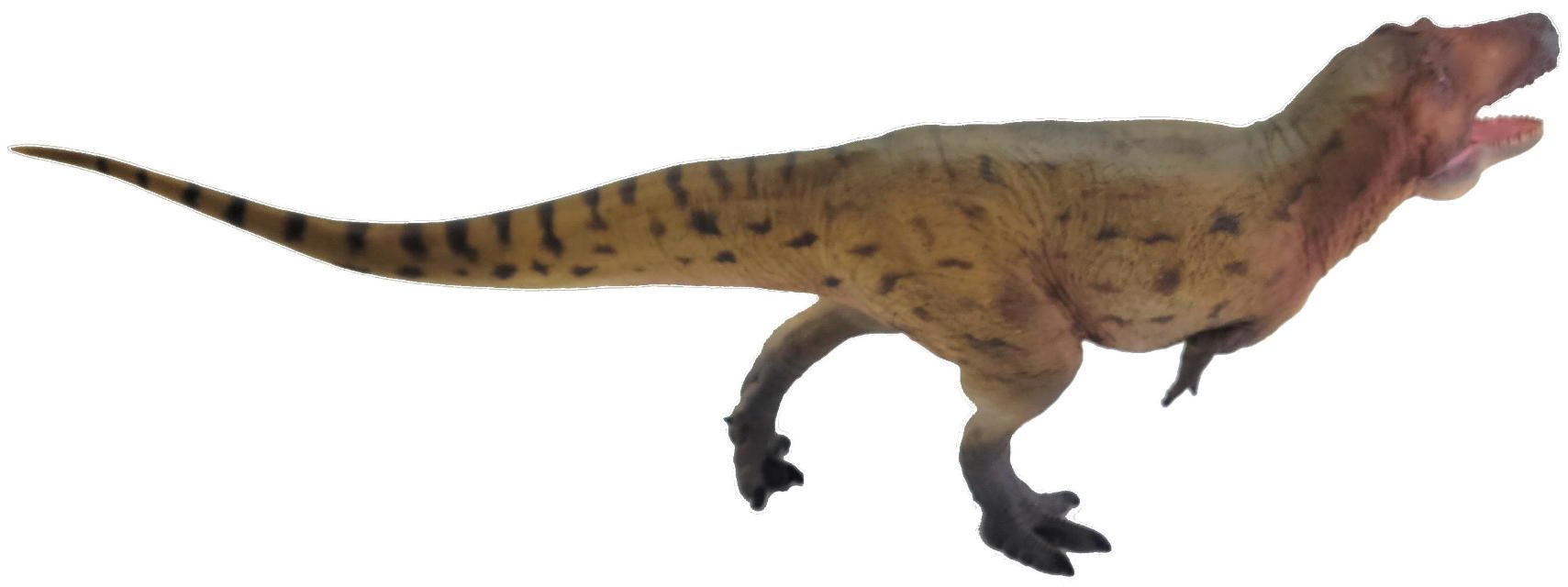 PNSO Keynes The Lythronax - Dinosaur Museum Series, Version