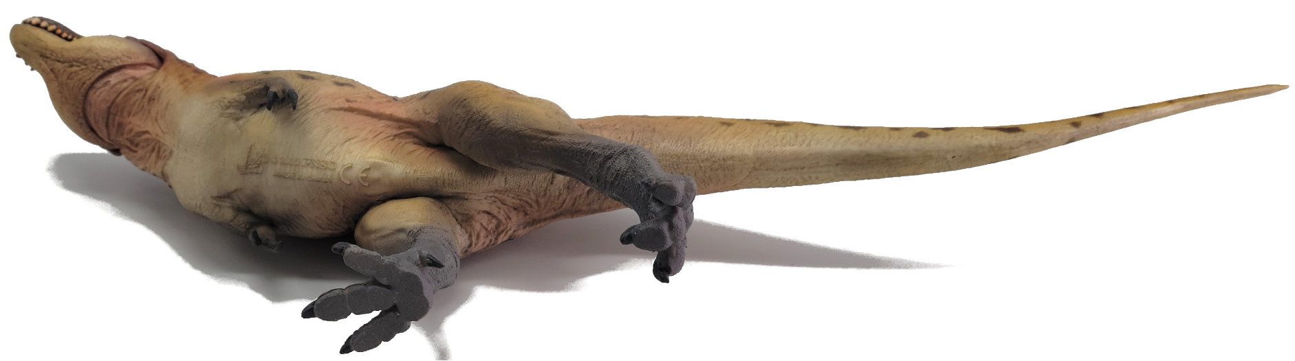 PNSO Keynes The Lythronax - Dinosaur Museum Series, Version