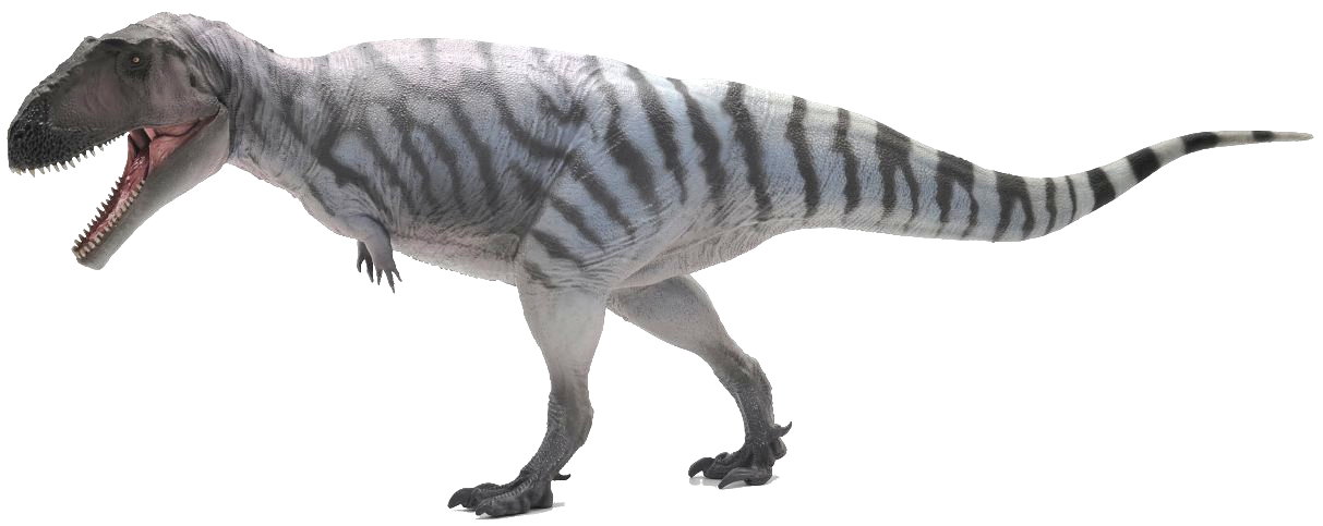 PNSO - Mungo the Meraxes #69, Awesome colors and stripes!