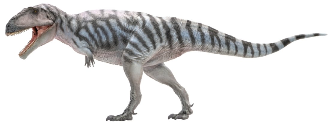 PNSO - Mungo the Meraxes #69, Awesome colors and stripes!