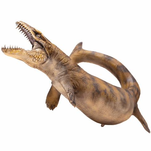 Dakosaurus Fossil