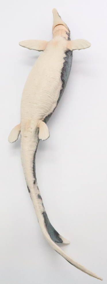 PNSO Ron The Mosasaurus #05 - Dinosaur Museum Series