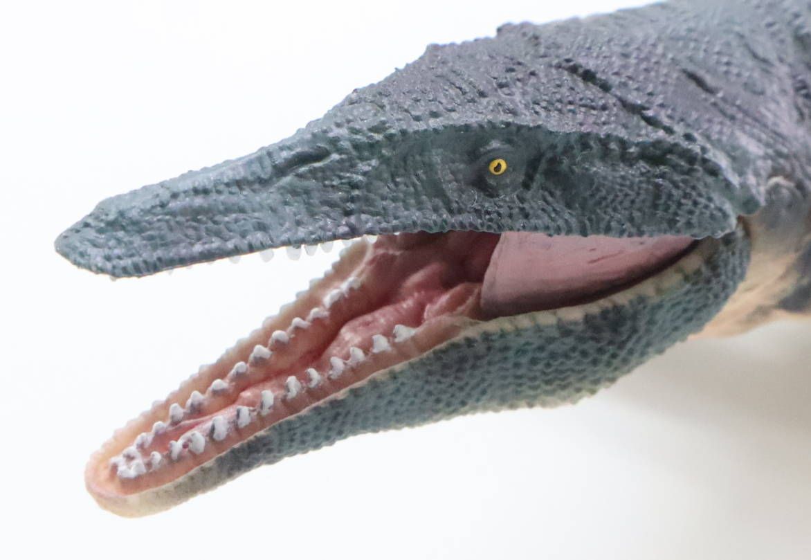 PNSO Ron The Mosasaurus #05 - Dinosaur Museum Series