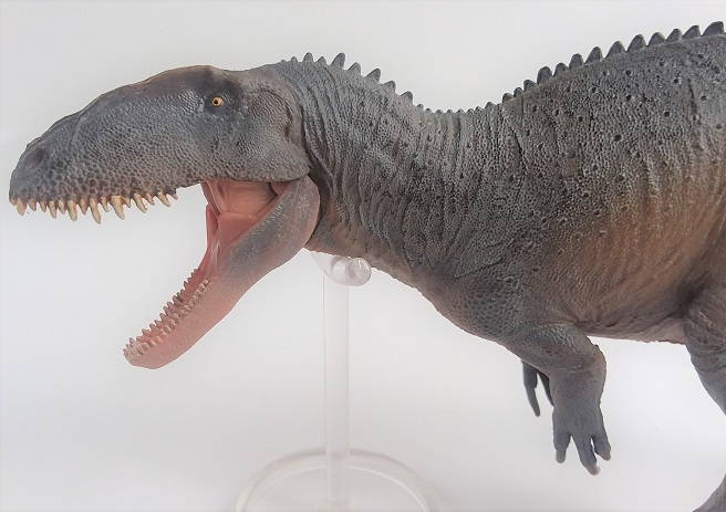 PNSO Xinchuan the Sinraptor #62 - New 2022, Tippy Figure