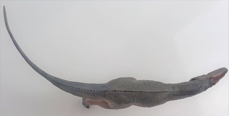 PNSO Xinchuan the Sinraptor #62 - New 2022, Tippy Figure