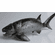 PNSO Zaha the Dunkleosteus #47 - New 2022 - Beautiful Shine