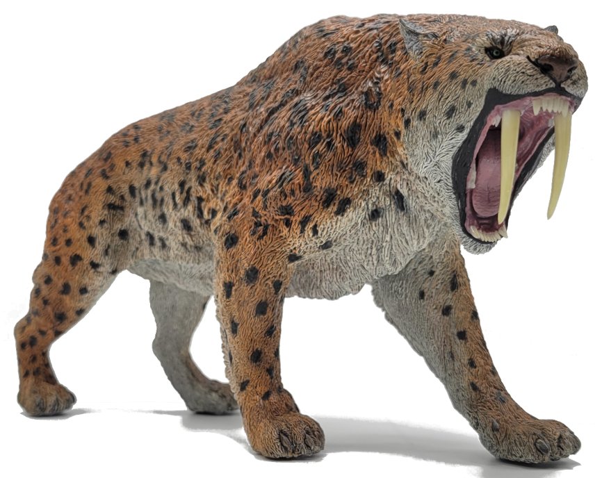 REBOR-Smilodon Stray Cat #160925 - Two interchangable heads