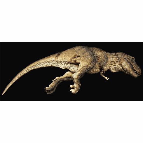 REBOR - T-Rex Bites The Dust Plain #160642 - Brown Color