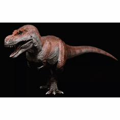 Rebor Dinosaur Models - Realistic, Durable Prehistorics