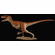 REBOR - Velociraptor Sweeney #160420 - Unique Tiger Stripes