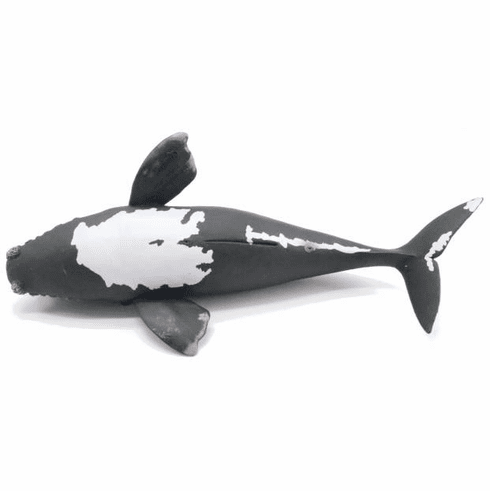 CollectA Sealife - Right Whale #88740 - Battle Scars