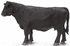 Safari Ltd. - Angus Cow by Safari Ltd.160829 - Farm Collection