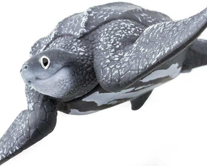 Safari Ltd. - Leatherback Sea Turtle #202429 - Grey Shell