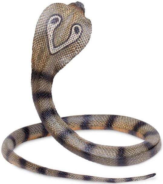 Safari Ltd. - Cobra by Safari Ltd. 260329 - Incredible Creatures