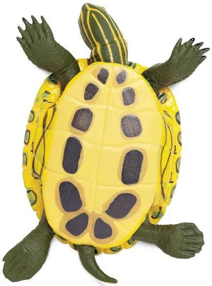 Safari Ltd. Red-Eared Slider Turtle #269529 Oversize Figure