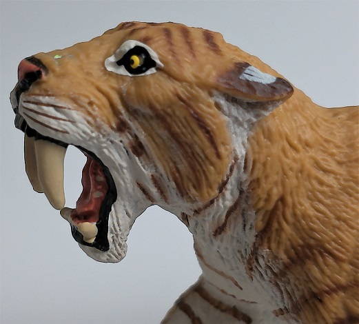 Smilodon Face