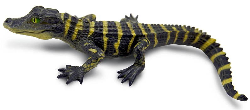 Safari Ltd. - Baby Alligator #101073 - Beady Green Eyes
