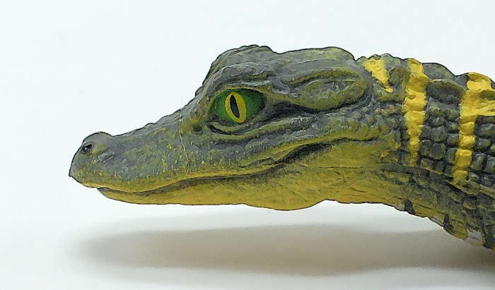 Safari Ltd. - Baby Alligator #101073 - Beady Green Eyes