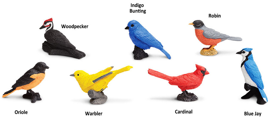 Backyard Birds Toob by Safari Ltd. 678304 - TOOB Collection