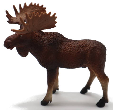 Safari Ltd. - Bull Moose #181029 - Realistic Hair Texture