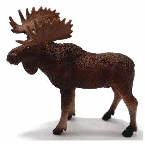 Safari Ltd. - Bull Moose #181029 - Realistic Hair Texture