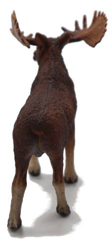 Safari Ltd. - Bull Moose #181029 - Realistic Hair Texture