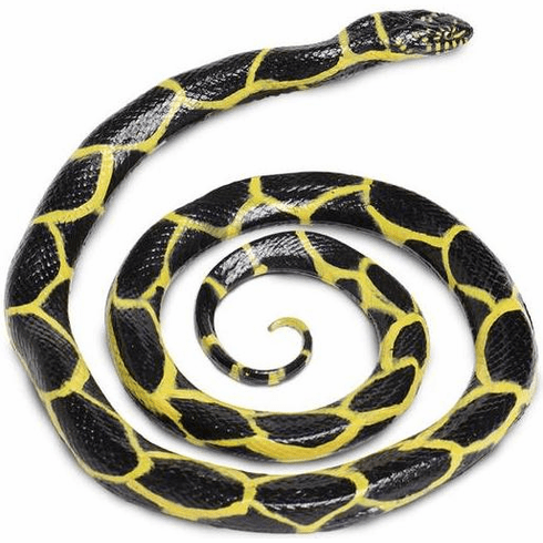 Safari Ltd. - Chain Kingsnake #257929 - Incredible Creatures
