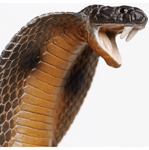 Safari Ltd. - Cobra by Safari Ltd. 260329 - Incredible Creatures