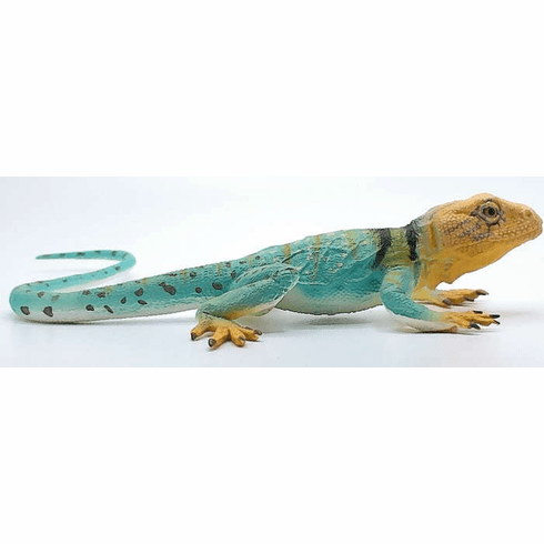 Safari Ltd. Collared Lizard #271029 - Incredible Creatures