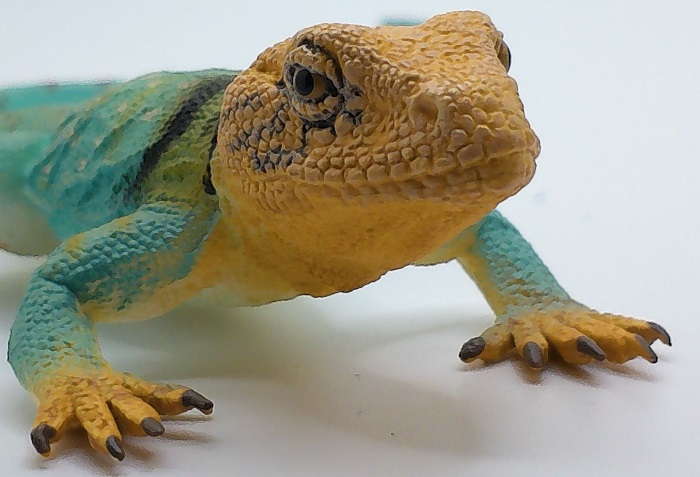 Safari Ltd. Collared Lizard #271029 - Incredible Creatures