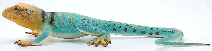 Safari Ltd. Collared Lizard #271029 - Incredible Creatures