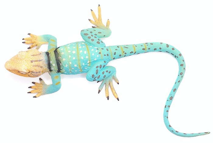 Safari Ltd. Collared Lizard #271029 - Incredible Creatures