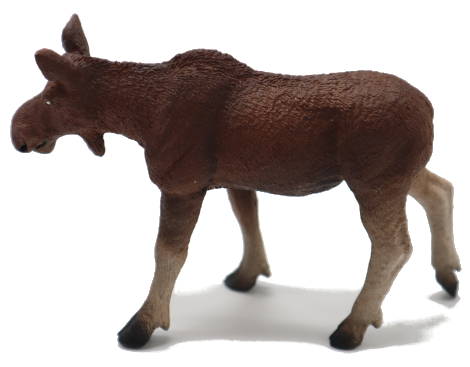 Safari Ltd. - Cow Moose #180829 - Brown Body, Tan Legs