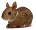 Safari Ltd. Eastern Cottontail Rabbit Baby #262129