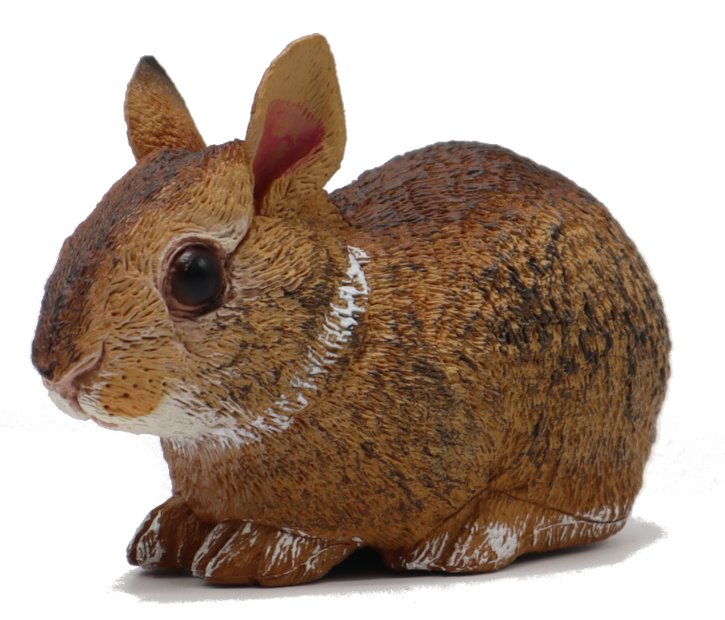 Safari Ltd. Eastern Cottontail Rabbit Baby #262129