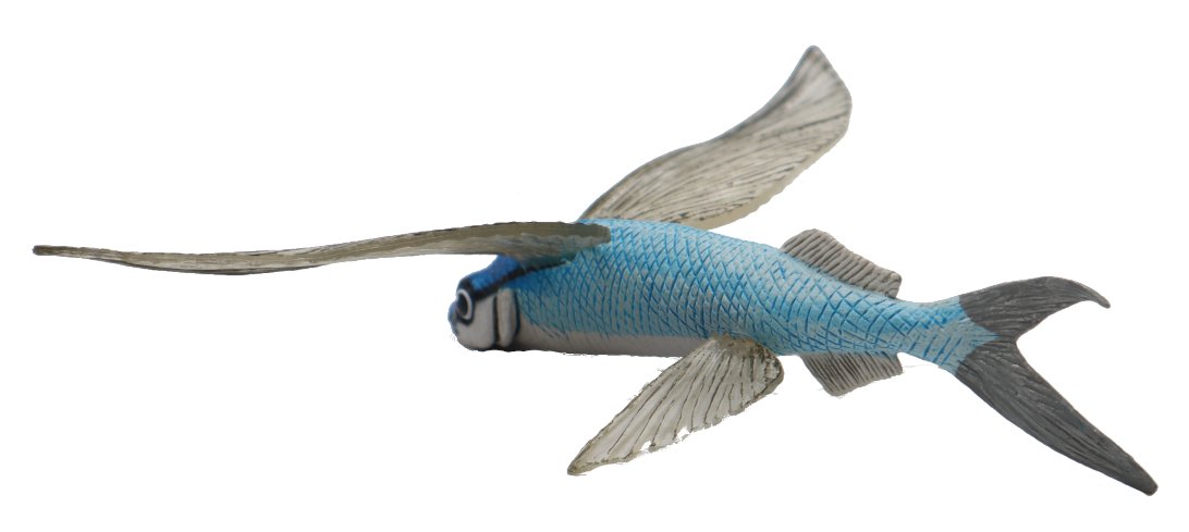 Safari Ltd. Flying Fish #263529 - Incredible Creatures