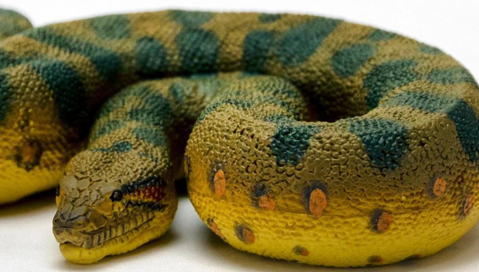 Safari Ltd. - Green Anaconda #100688 - Splotchy Olive Green