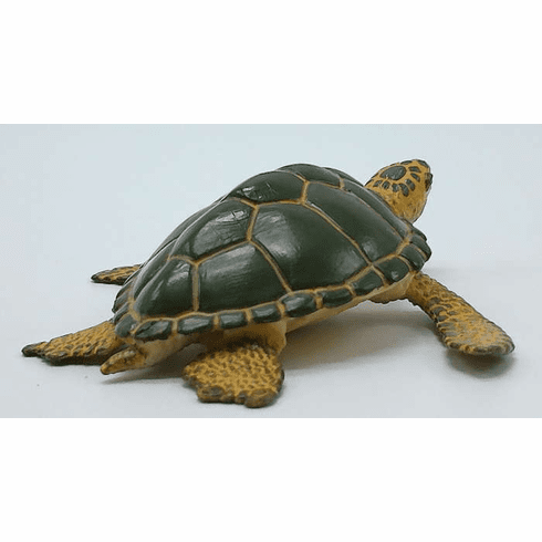Safari Ltd. - Green Sea Turtle #274329 - Sea Life Collection