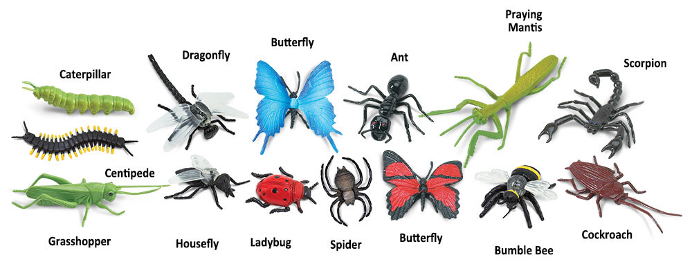 Safari Ltd. - Insects Toob by Safari Ltd. 695304 - TOOB Collection
