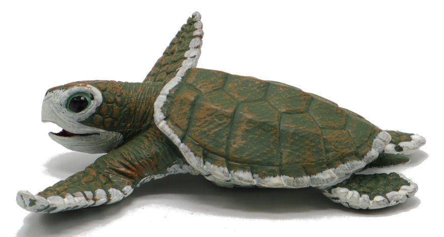 Safari Ltd. Kemp's Ridley Sea Turtle Baby #267429