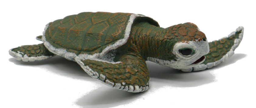 Safari Ltd. Kemp's Ridley Sea Turtle Baby #267429